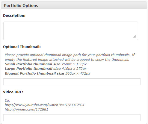 Post And Portfolio Options Reflexmotionreflexmotion
